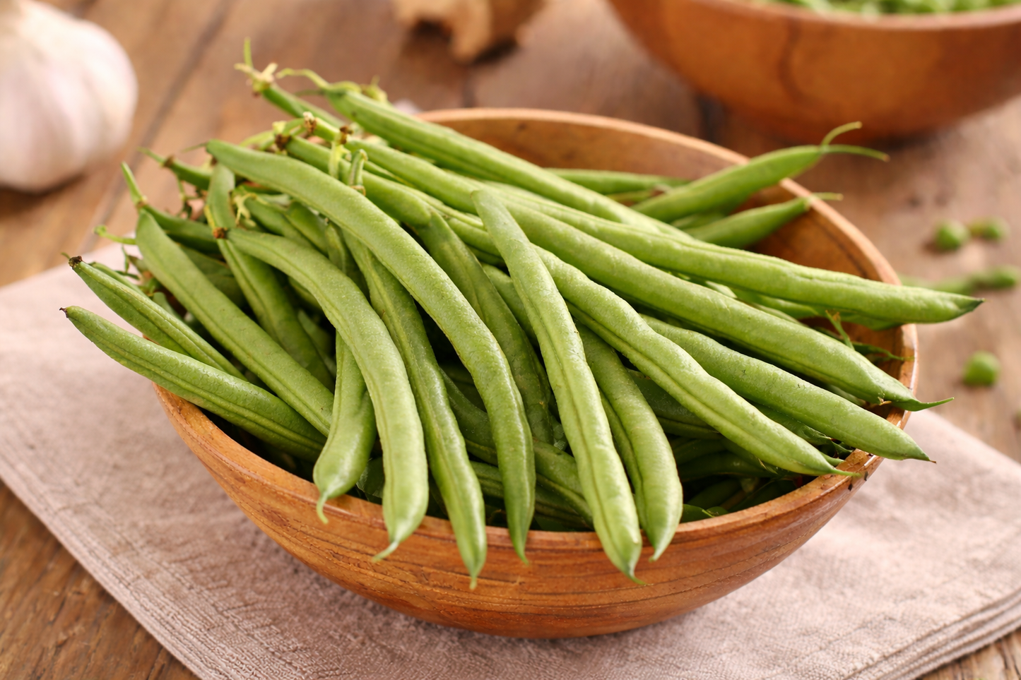 Burpee's Stringless Green Pod Bush Bean Seeds – Imagine Seeds